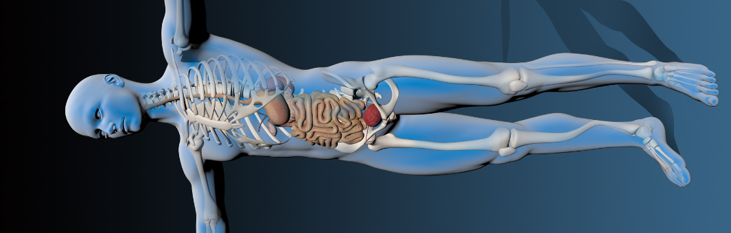 Elimination Pathways - Colon Hydrotherapy Toronto - Vitalife