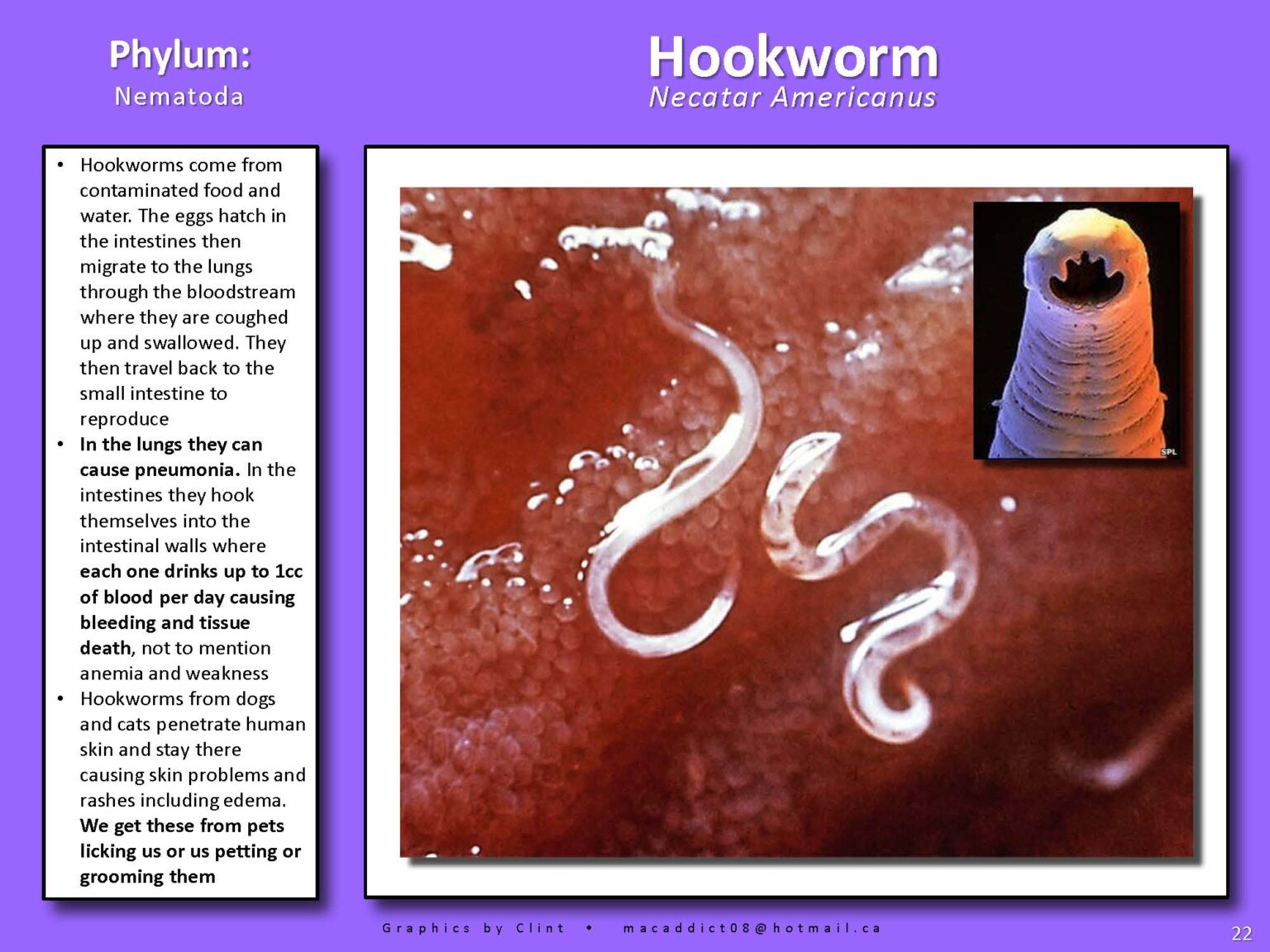Parasites - Toronto Colon Hydrotherapy - Let It Go (by Vitalife)